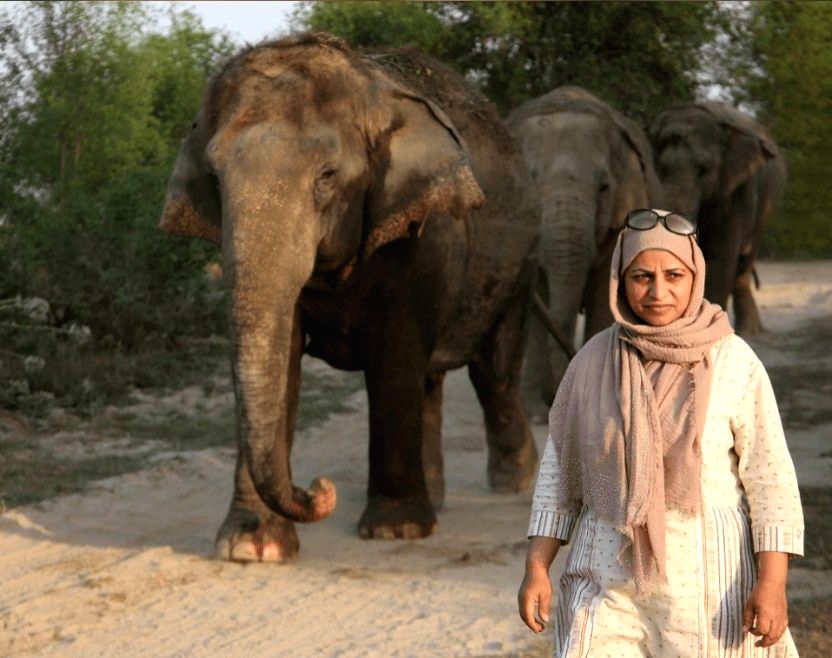 Free photo : Aliya Mir: A life in service of wild animals