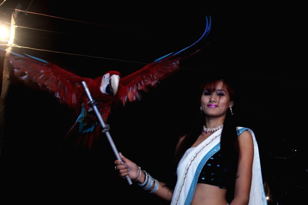 An artist performs during Ajanta circus