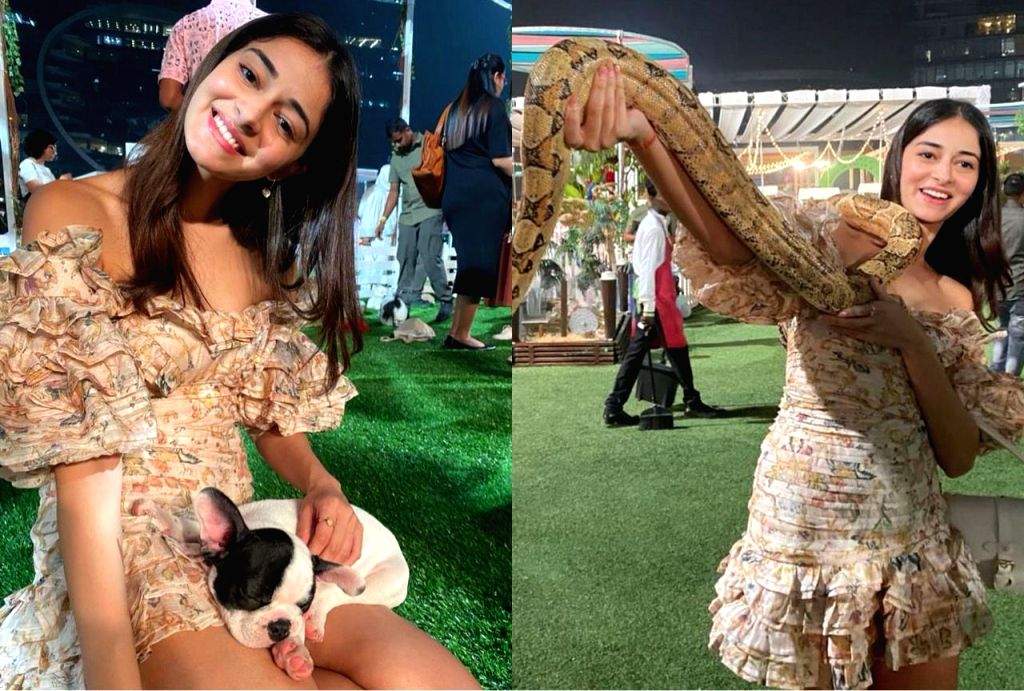 Ananya Panday's 'definition of heaven' is 'puppies and snakes'