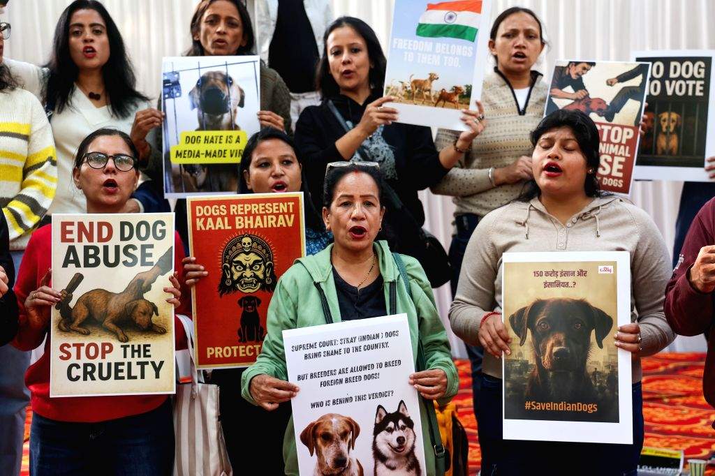 Animal lovers protest in Delhi