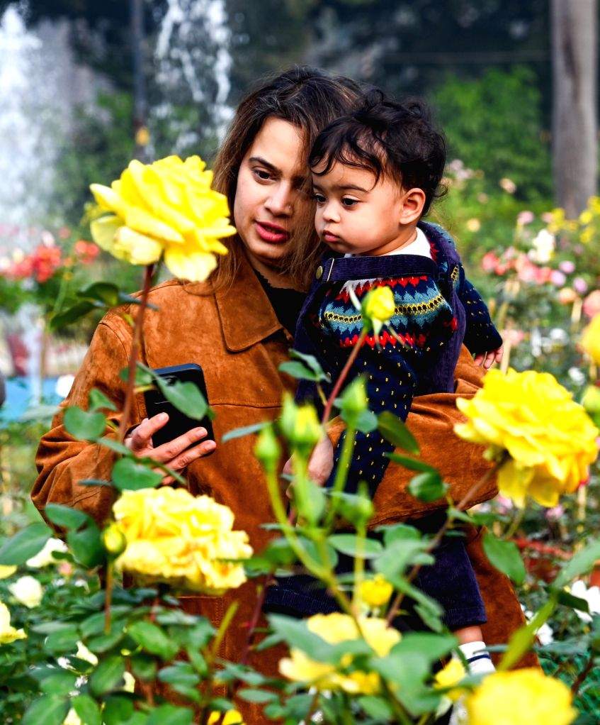 Annual Winter Rose Show India