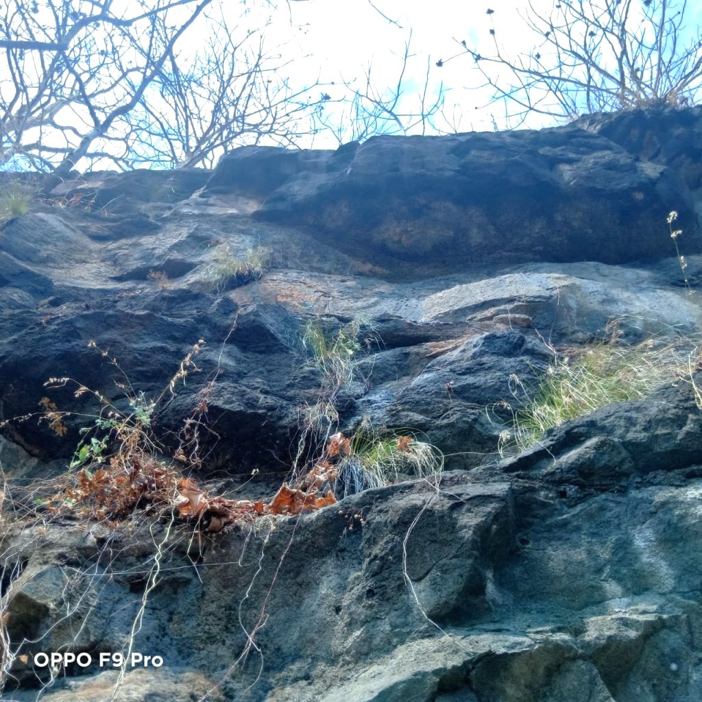 Free Photo: Archaeologist Bhujang R. Bobade and his team discovered a ...