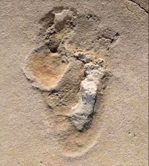 Free Photo : Are the footprints present in the hills of the 500 million ...