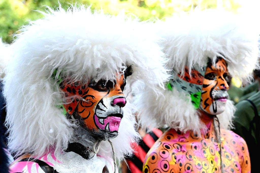 Artists perform Huli Vesha (Tiger Dance) during the Wildlife Week 2024
