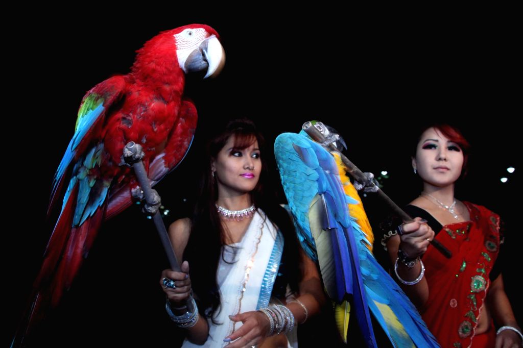An artist performs during Ajanta circus