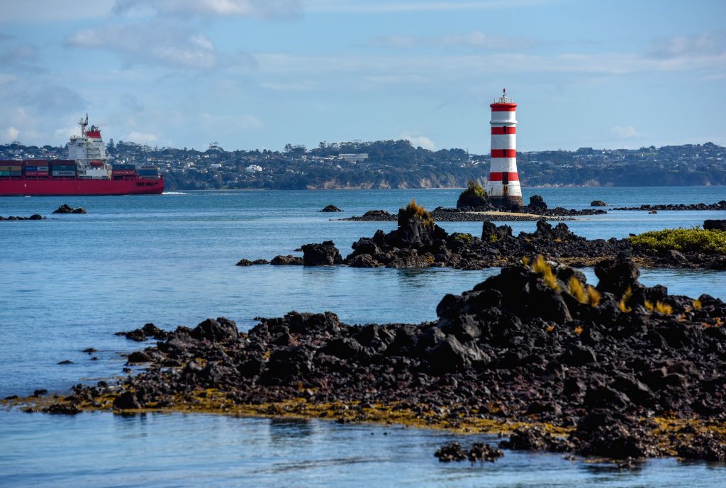 NEW ZEALAND-AUCKLAND-RANGITOTO ISLAND-VOLCANIC ISLAND