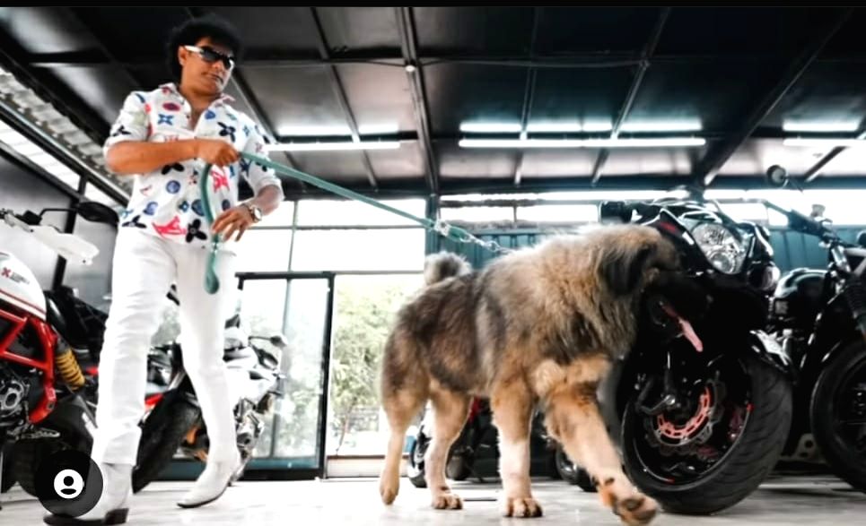 Free photo : B'luru man buys Caucasian Shepherd for Rs 20 crores