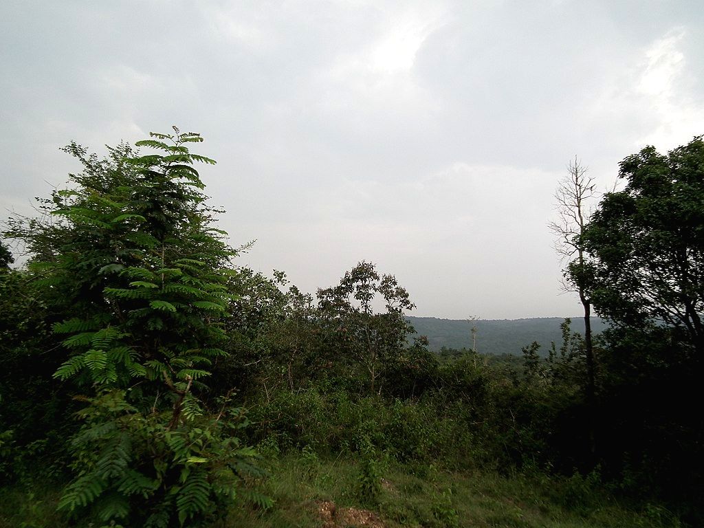 Free Photo :Bannerghatta National Park Bangalore
