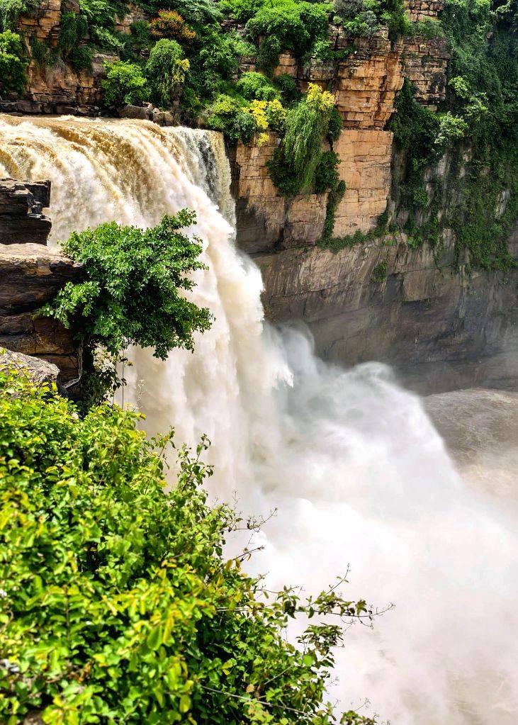 Belagavi : Gokak Water Falls flowing vigorously after heavy rain in the ...