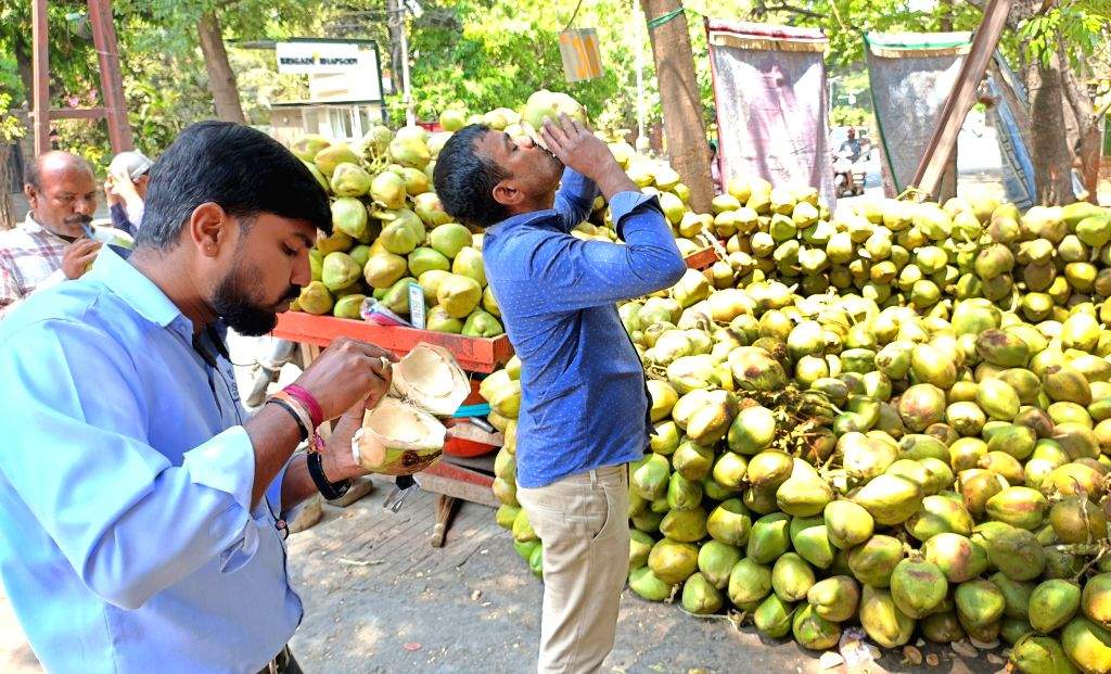 Bengaluru : People drink coconut water to beat the heat on a hot summer day