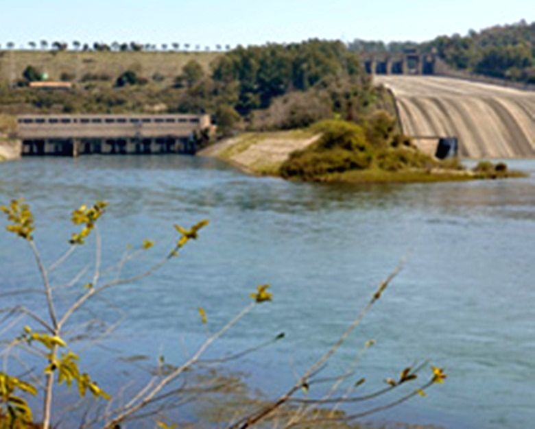 Free Photo :Bhakra dam