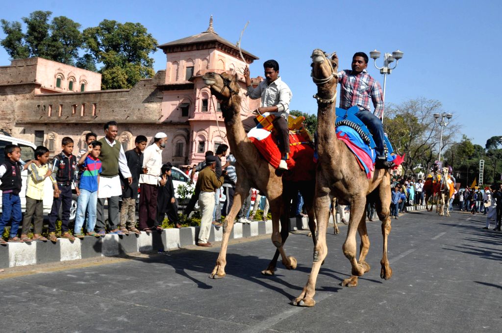 Jheel Mahotsav