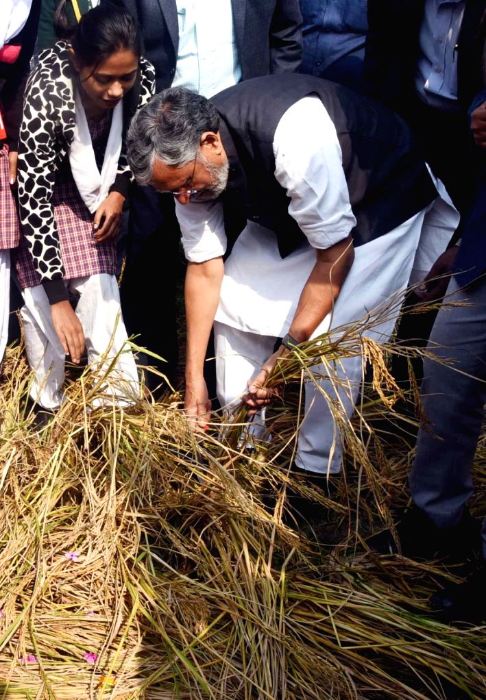 Bihar Dy CM at organic rice harvesting festival