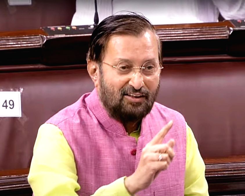 BJP MP Prakash Javadekar speaks in Rajya Sabha