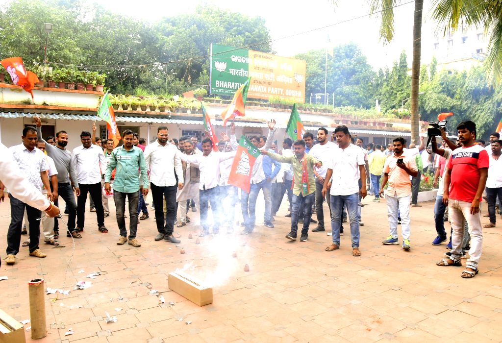 Bjp workers celebrate after victory in Dhamnagar By-election