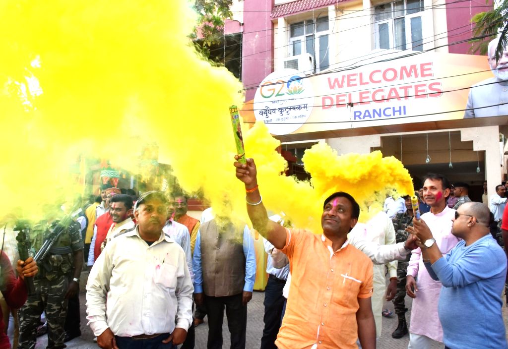 BJP workers celebrate with colour powder on party's victory