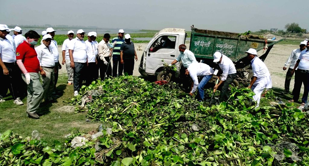 Clean Yamuna Drive - BJP