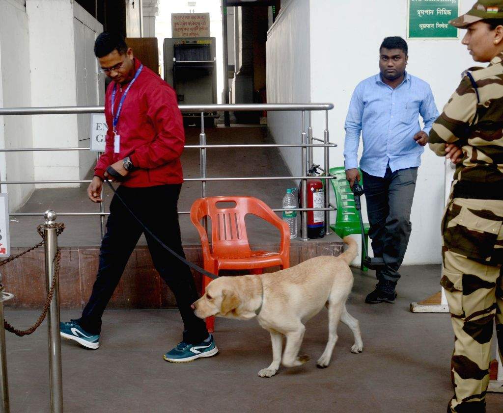 Bomb disposal squad personnel with sniffer dogs conduct a search at the ...