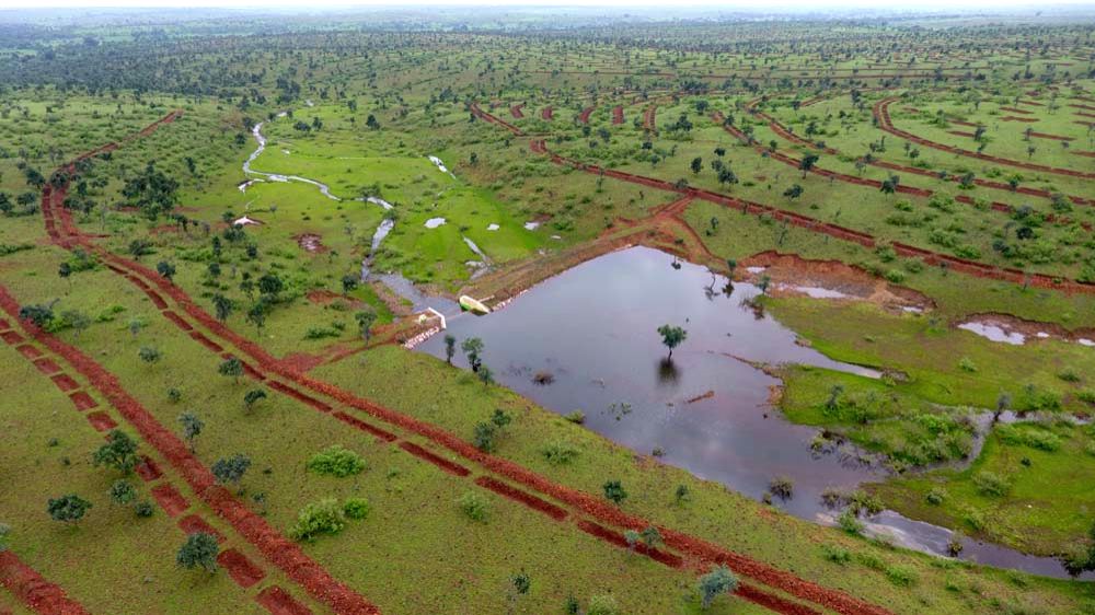 Bounty in the pits: Water conservation trenches change face of ...