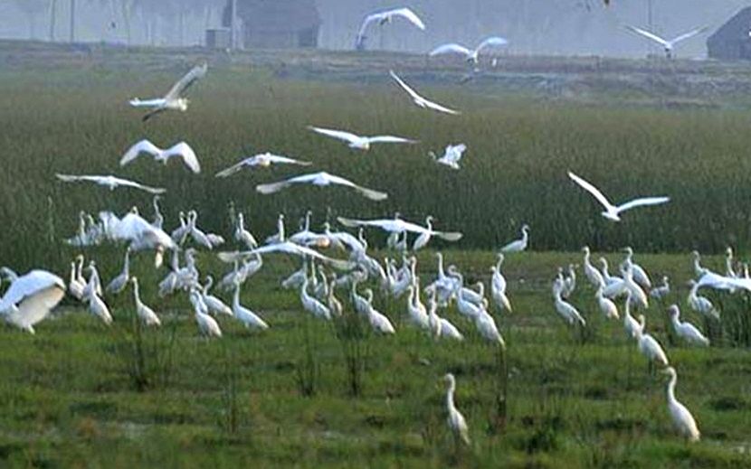 Free photo : brid sanctuary