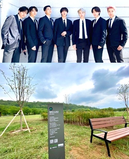 Free photo :'BTS Forest' created in Seoul's Nanji park
