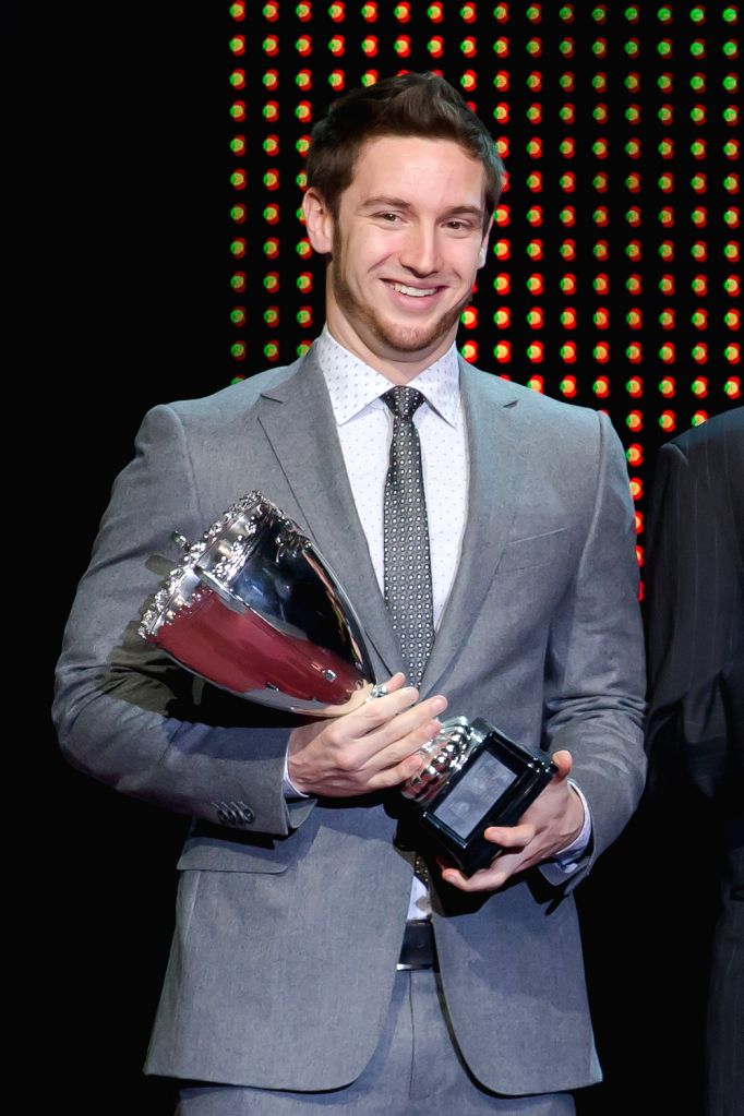 The Hungarian sportspersons award of the year 2013