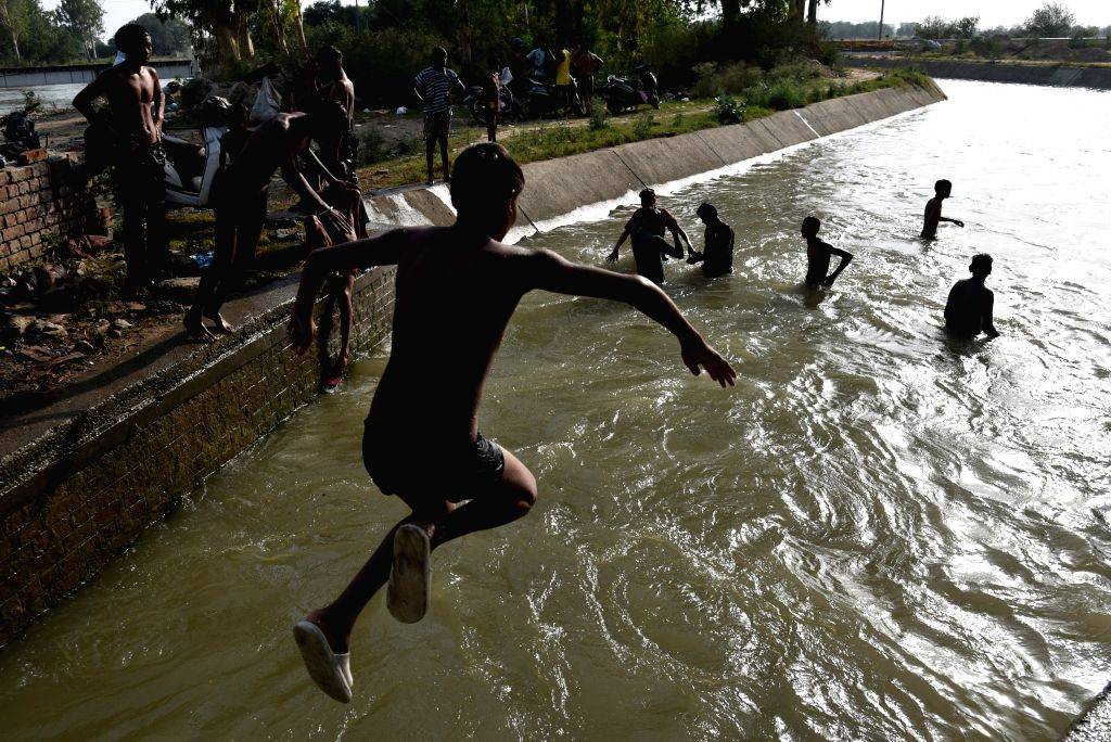 Canal Dip Offers Respite on Sweltering Summer Day in Amritsar