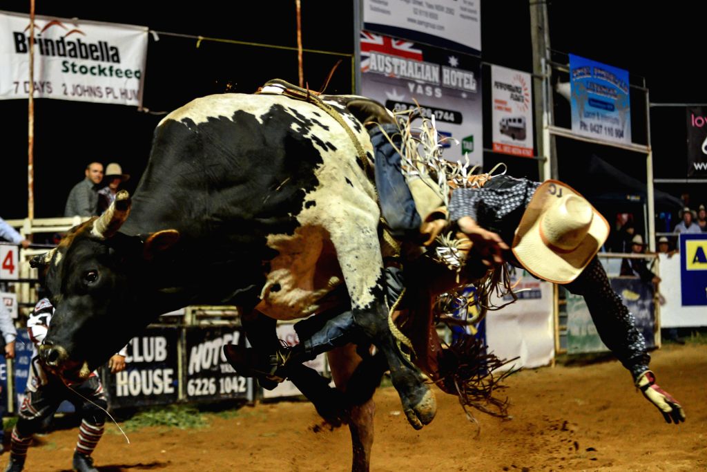 Yass show in Yass, north of Canberra