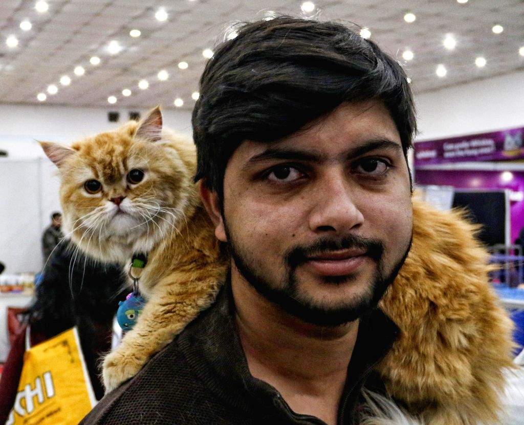 Championship Cat Show attracts feline enthusiasts