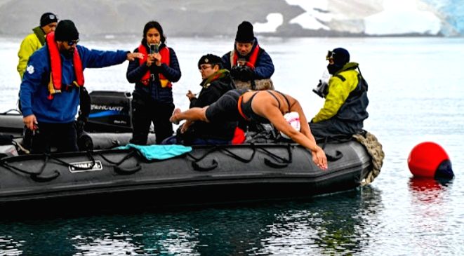 Free photo : Chilean writes history by swimming frozen waters of Antarctica