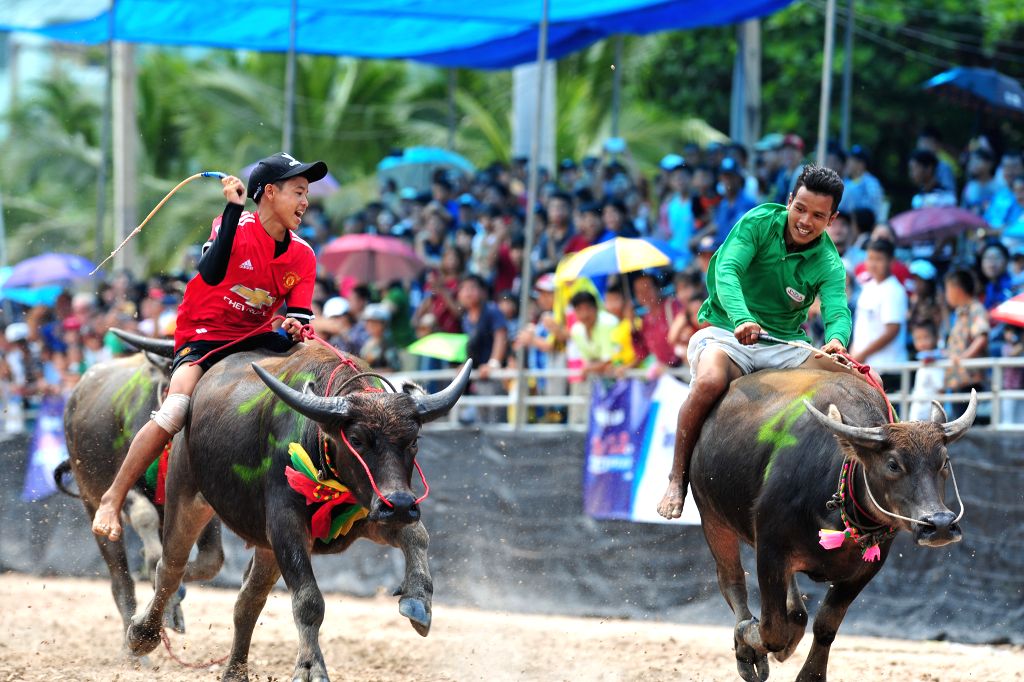 THAILAND-CHONBURI-BUFFALO RACING