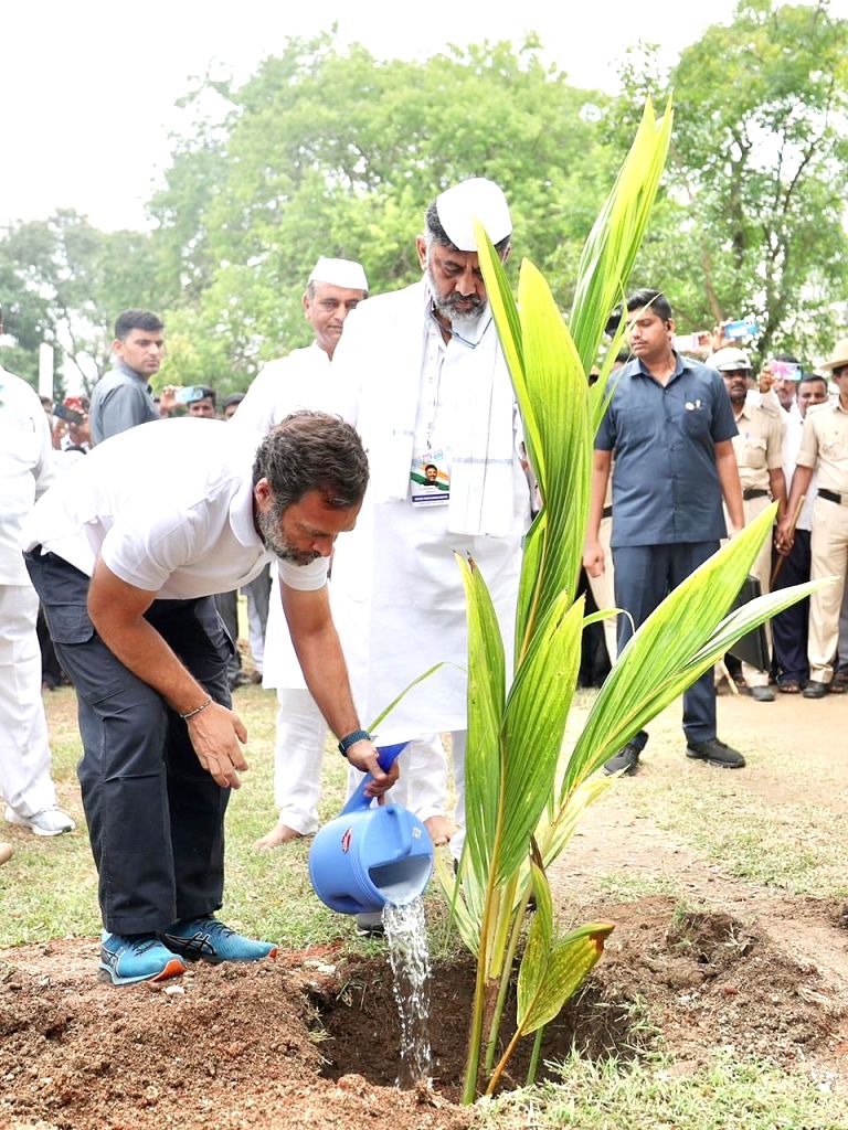 Congress leader Rahul Gandhi waters a plant during 'Bharat Jodo Yatra