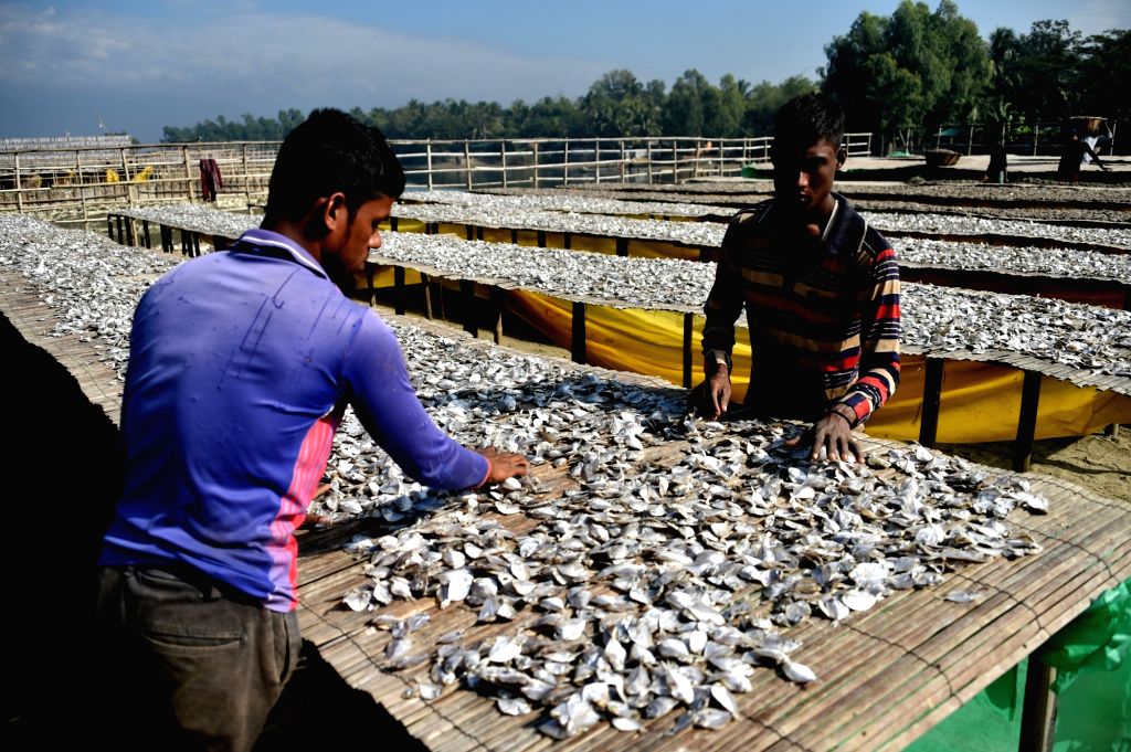 BANGLADESH-COX'S BAZAR-FISH DRYING