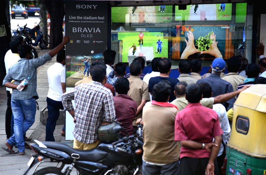 Cricket enthusiasts seen watching World Cup match