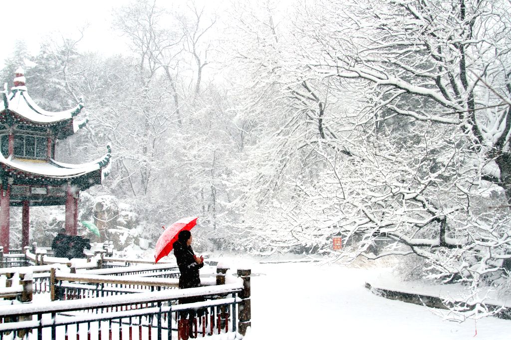 CHINA-LIAONING-DANDONG-SNOW