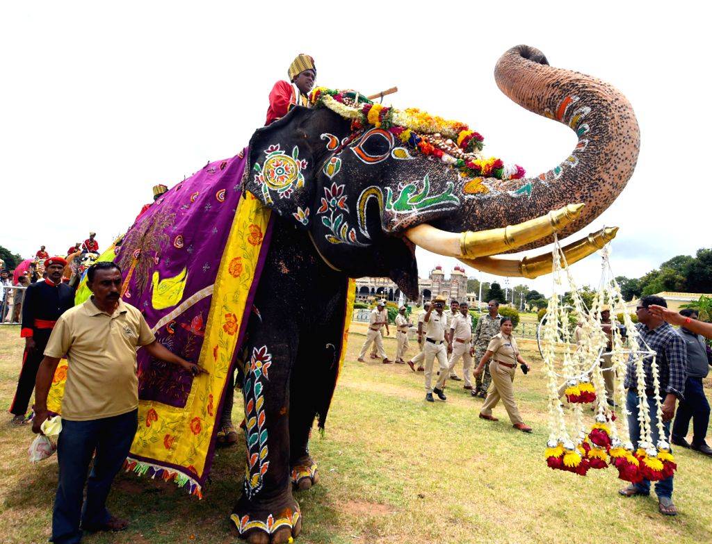 Dasara Elephants get a grand welcome at the Mysuru Palace