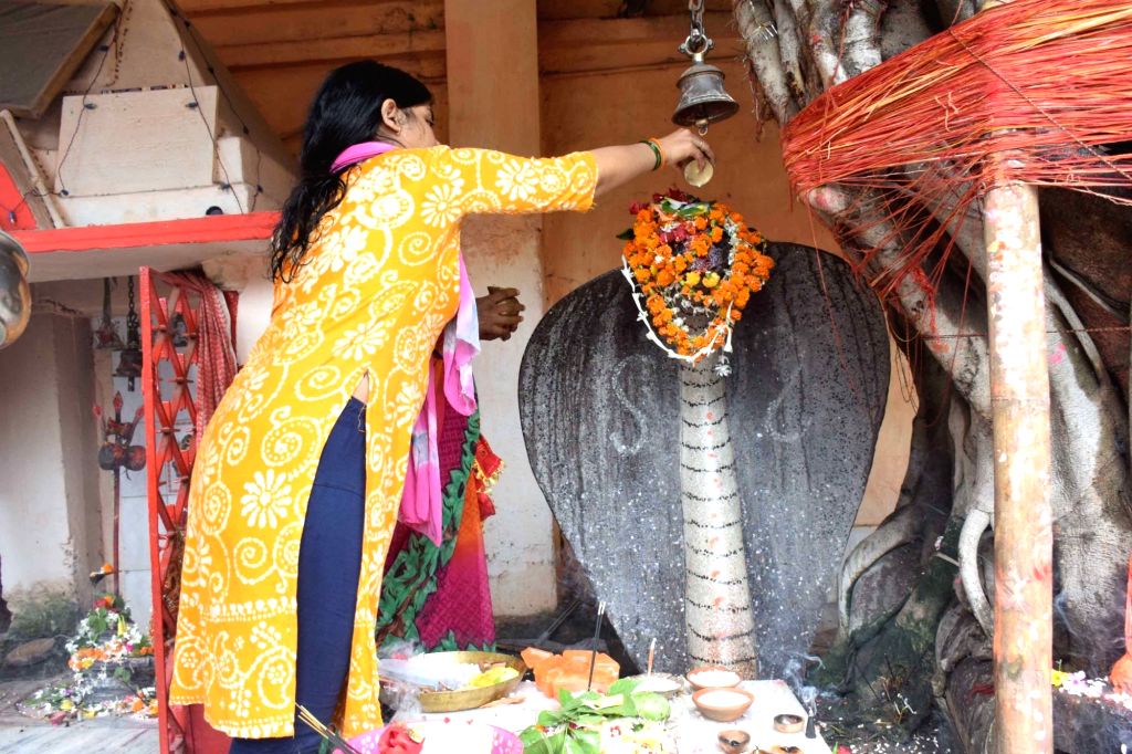 Naga Panchami celebrations