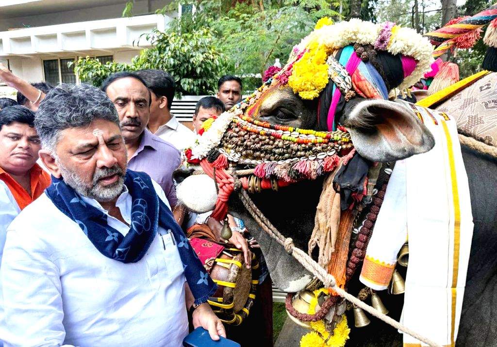DK Shivakumar Pays Homage to Basava on Sankranti