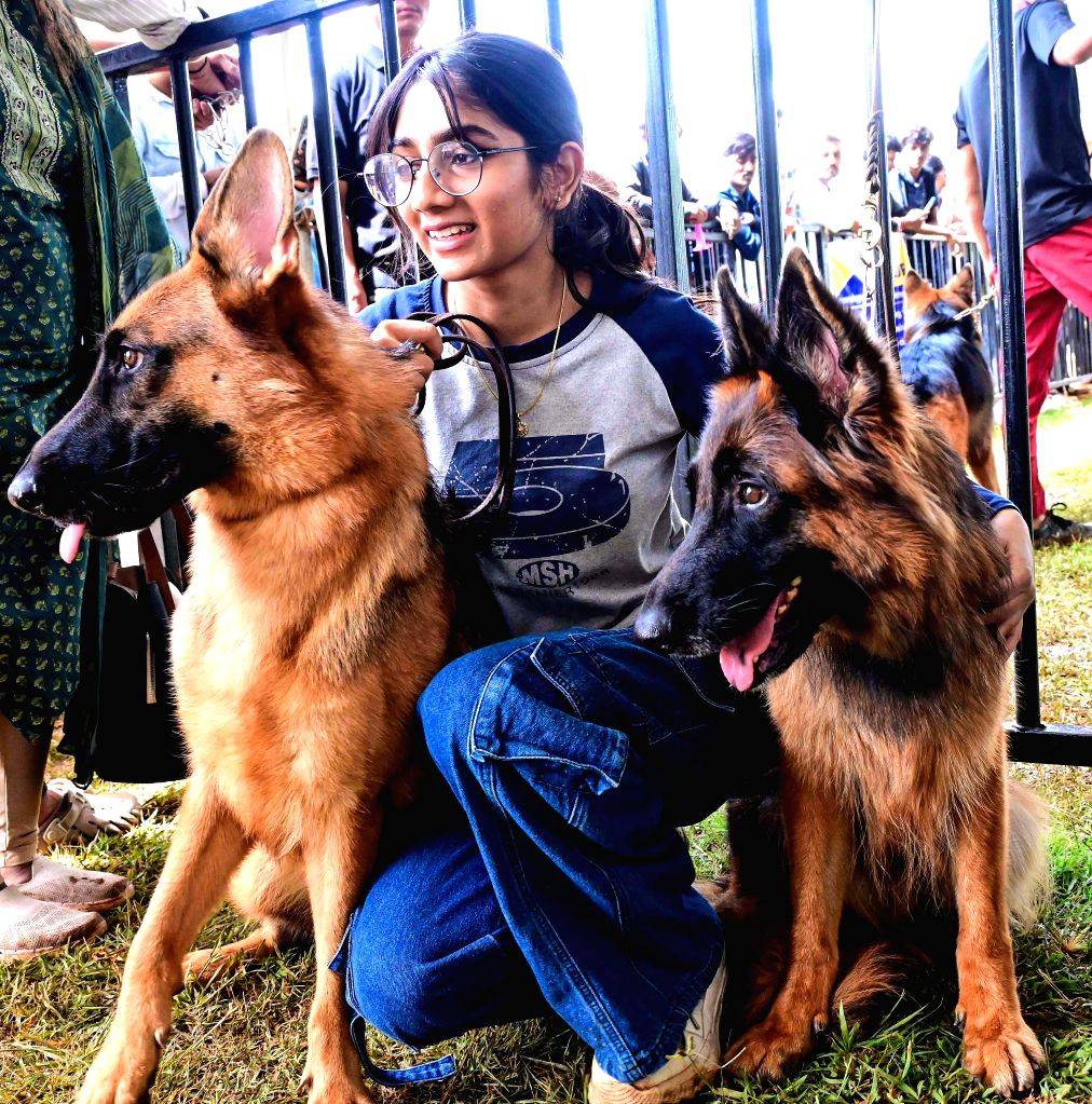 Dog owners showcase their pets during the Crown Classic Dog Show