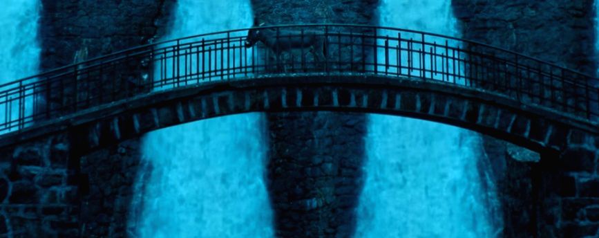 Cannes Jury Prize winner 'EO' shares vision of modern Europe through ...