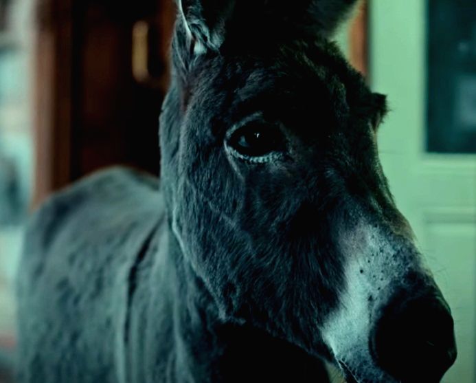 Cannes Jury Prize winner 'EO' shares vision of modern Europe through ...