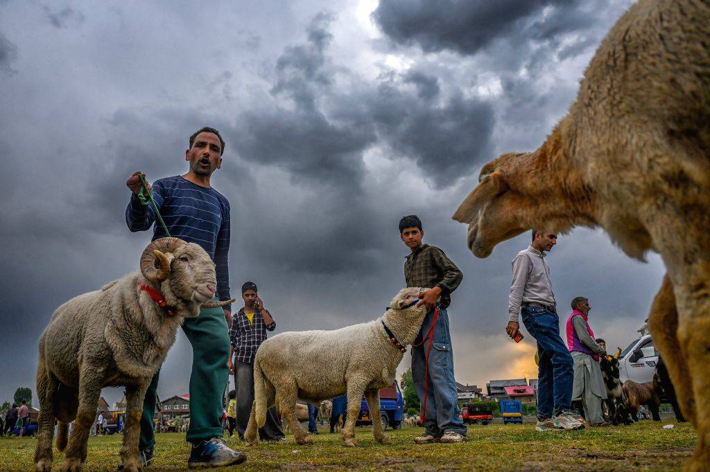 Eid-ul-Adha Preparations