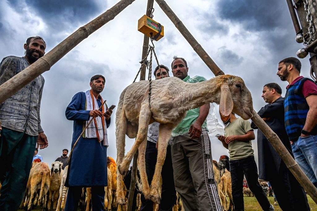 Eid-ul-Adha Preparations