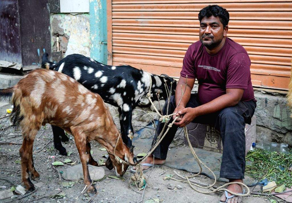 Eid-ul-Adha preprations