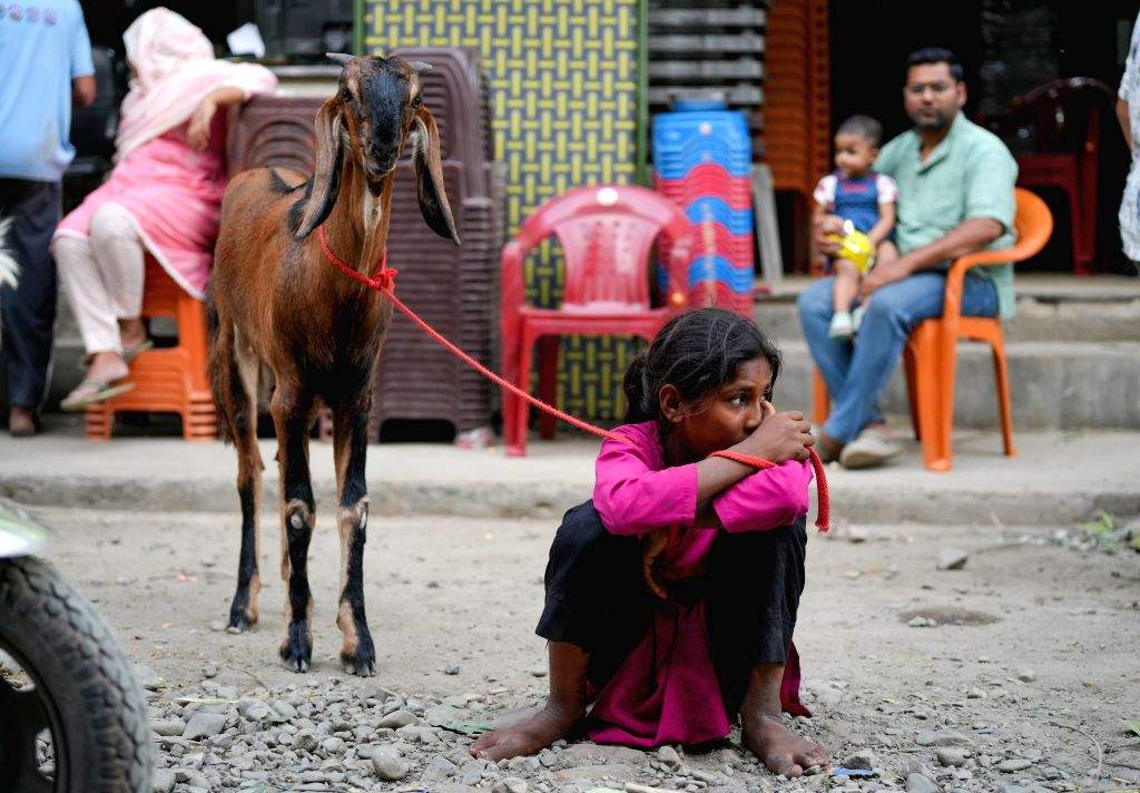 Eid-ul-Adha preprations