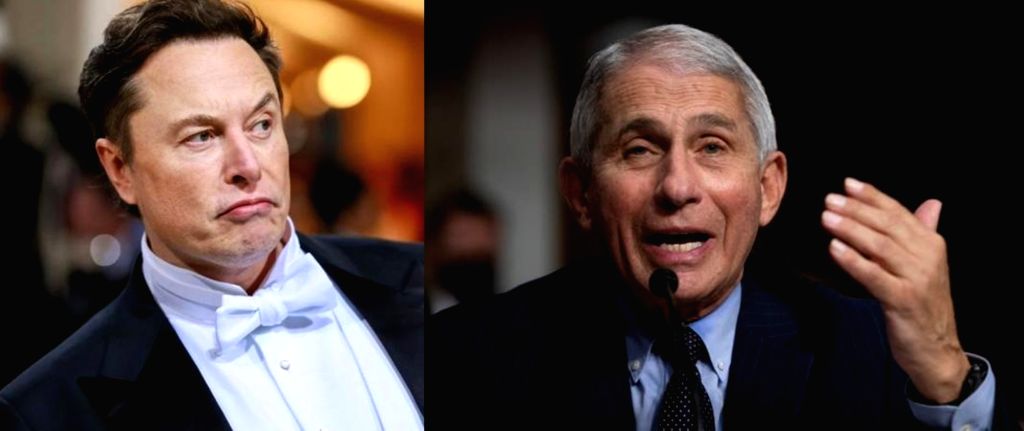 Free Photo :Elon Musk - Anthony Fauci