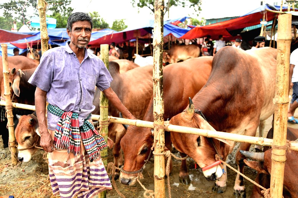 Ensure movement of animal fodder, Home Ministry tells states