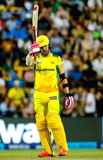Free Photo :Faf du Plessis