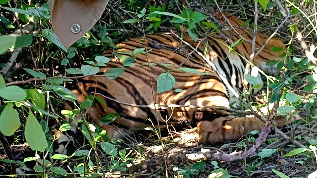 FIR lodged in tiger death case in Pilibhit