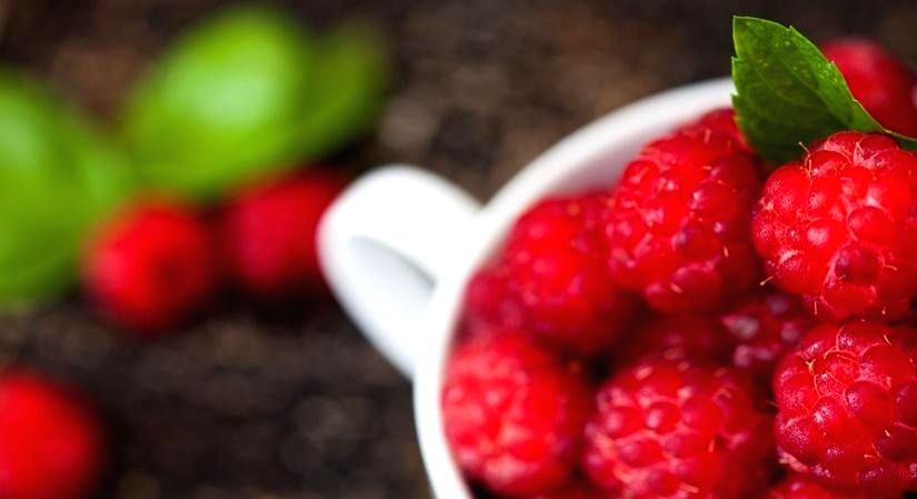Free Photo:Foods to help induce labor naturally
